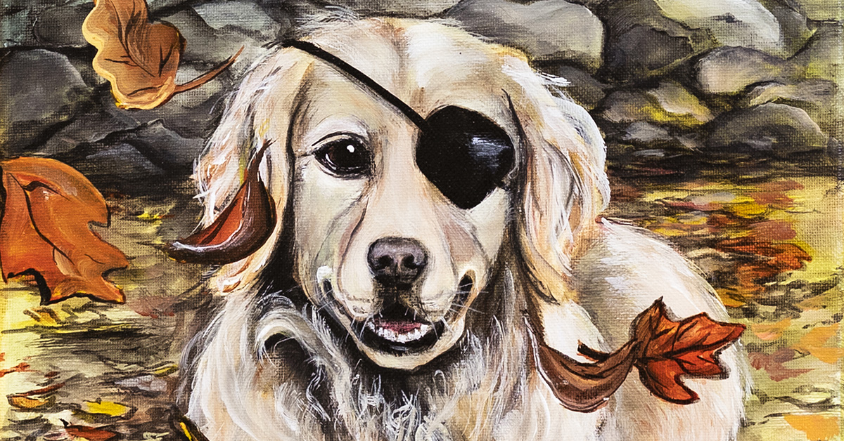 About Buddy | Buddy the Dog